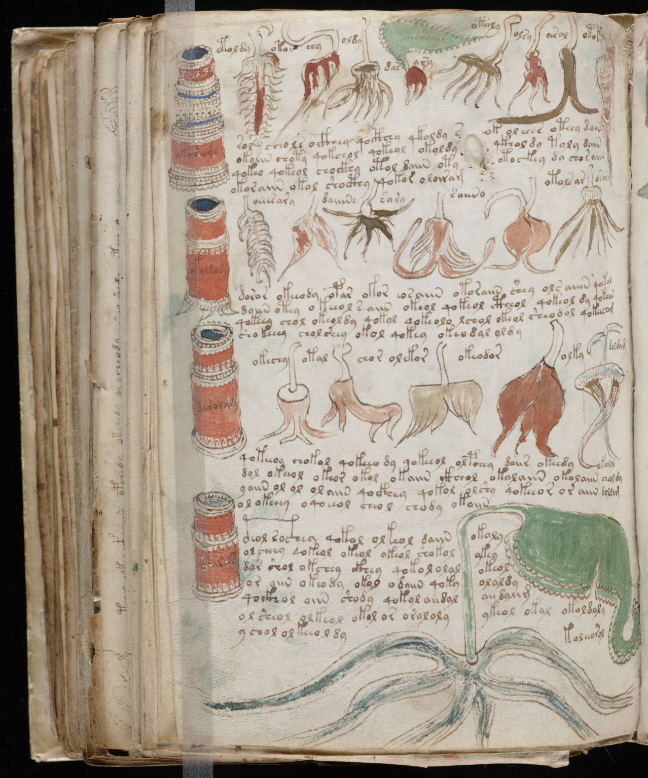Voynich_Manuscript_(176) | IDIS